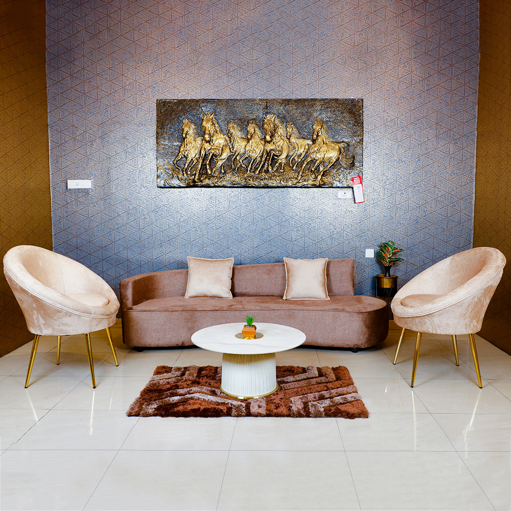 Customised sofa set store